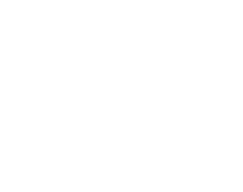 Support Us - Historic Army Aircraft Flight